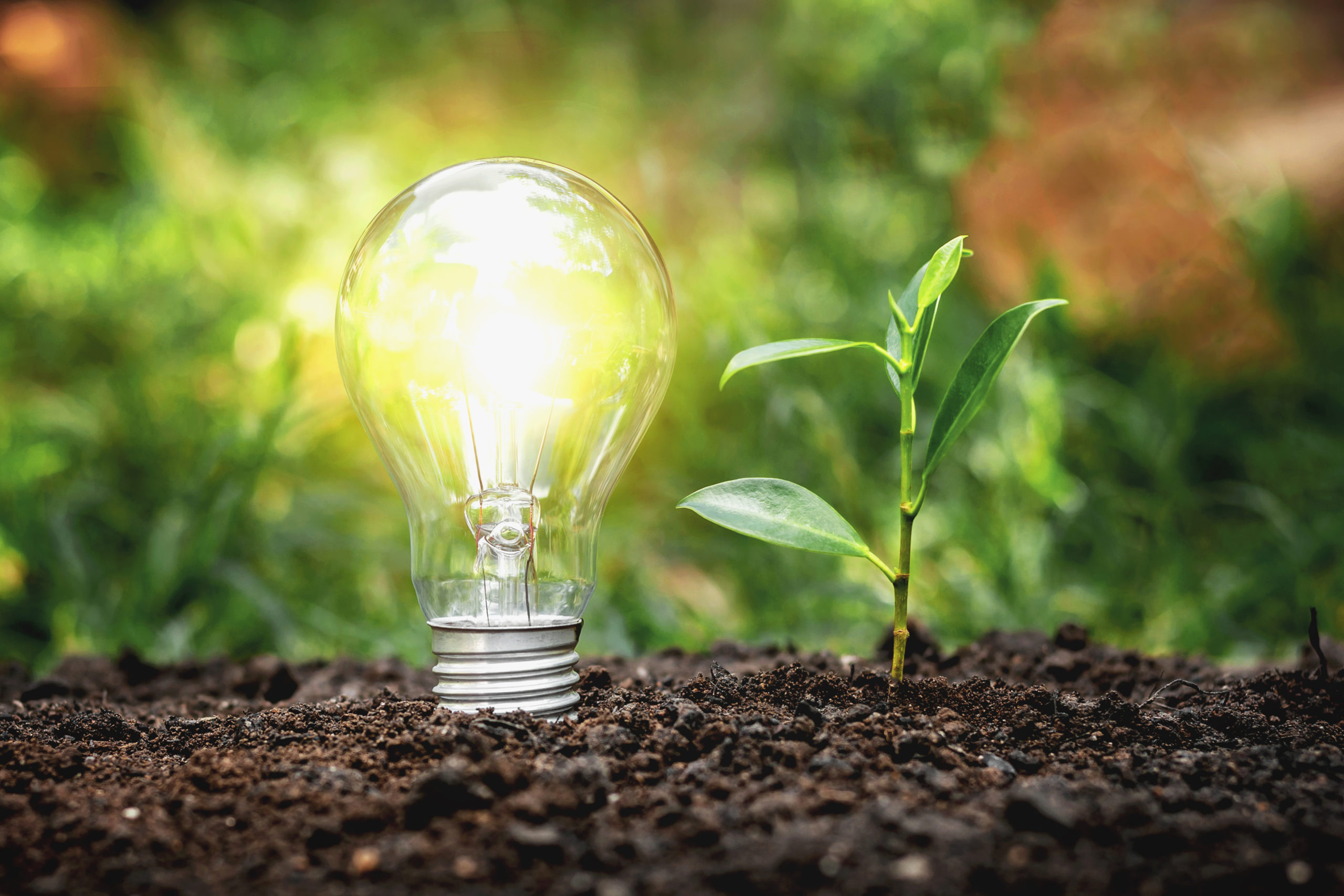 Mariana launch the UK's first true ESG Structured Product for investment